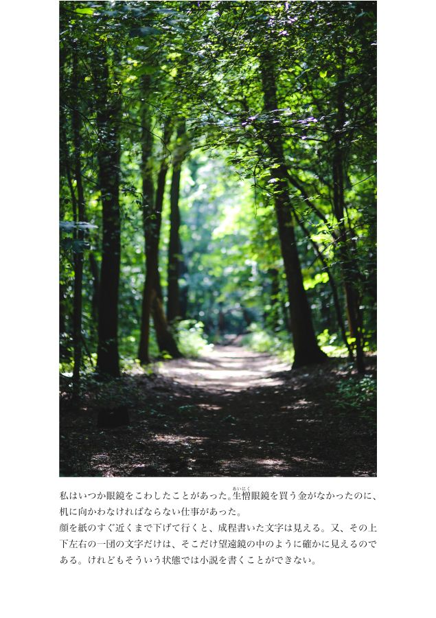 基本のサンプル｜デジタルブック作成ソフトLOGOSWARE FLIPPER U2